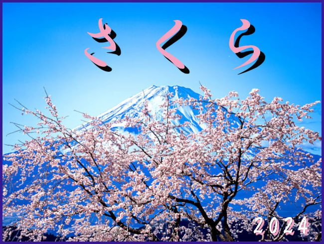 Z(117) さくら: maechan2