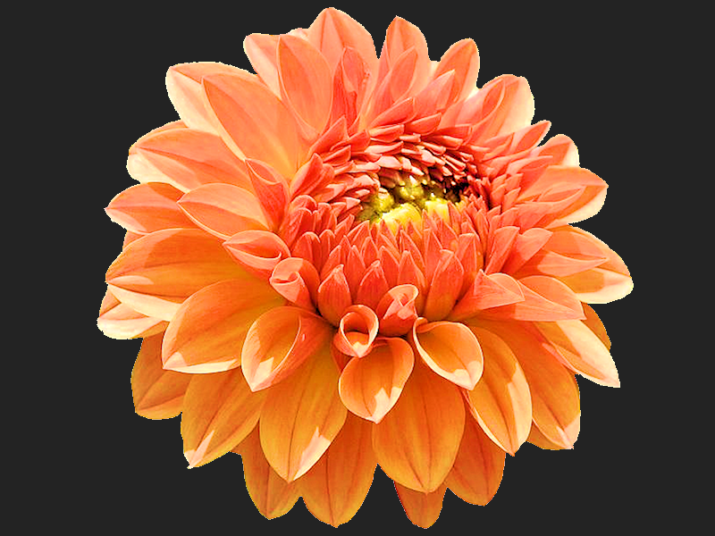 Z(006) 画像倉庫: maechan2