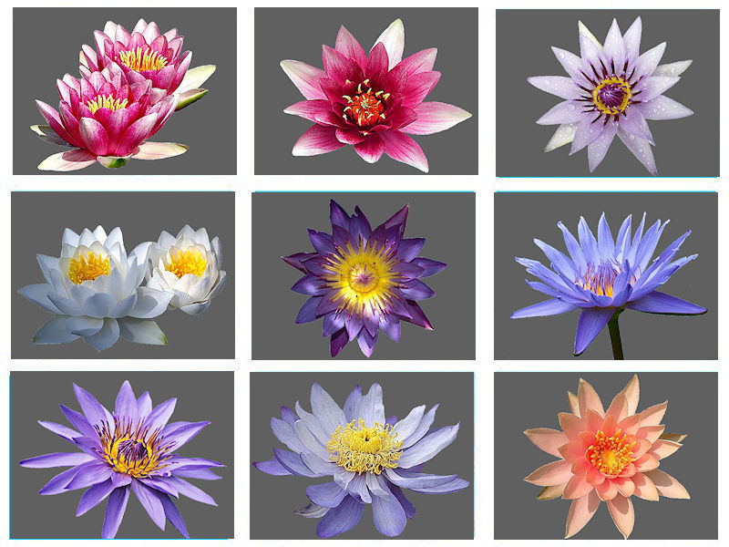 Z(010) 画像倉庫: maechan2