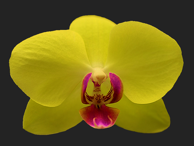 Z(021) 画像倉庫: maechan2