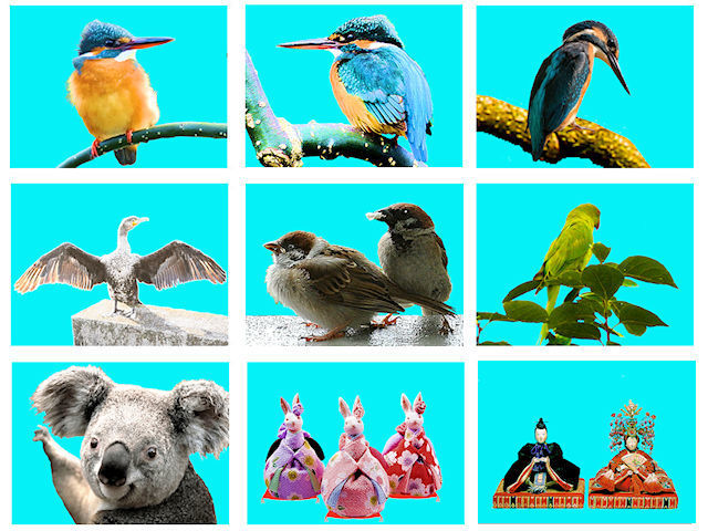 Z(023) 画像倉庫: maechan2