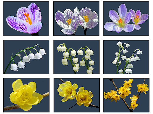 Z(024) 画像倉庫: maechan2