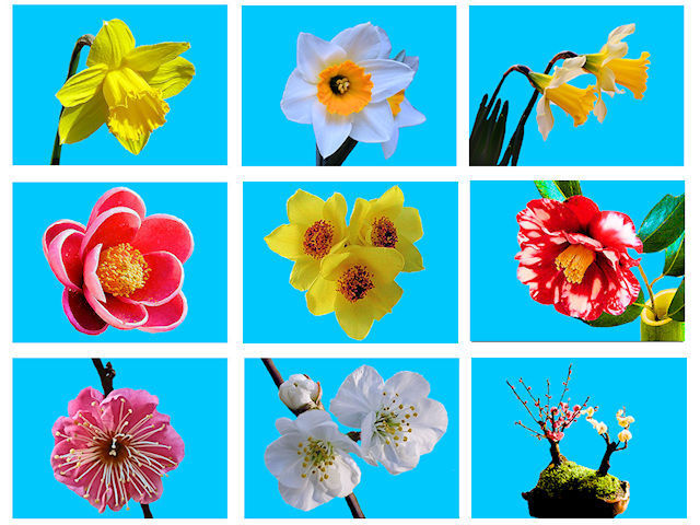 Z(025) 画像倉庫: maechan2