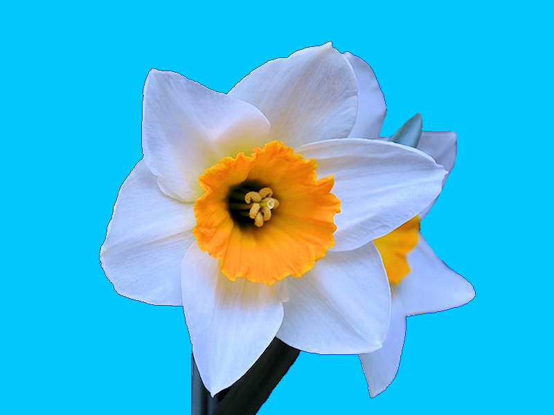 Z(025) 画像倉庫: maechan2