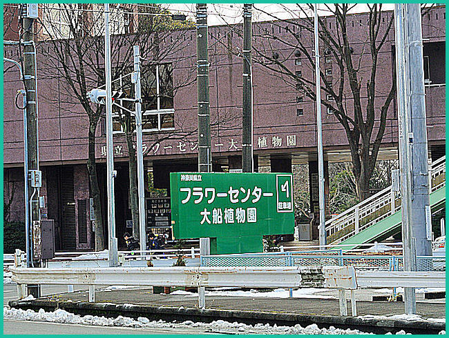 (01月)画像倉庫目次 Z(027): maechan2