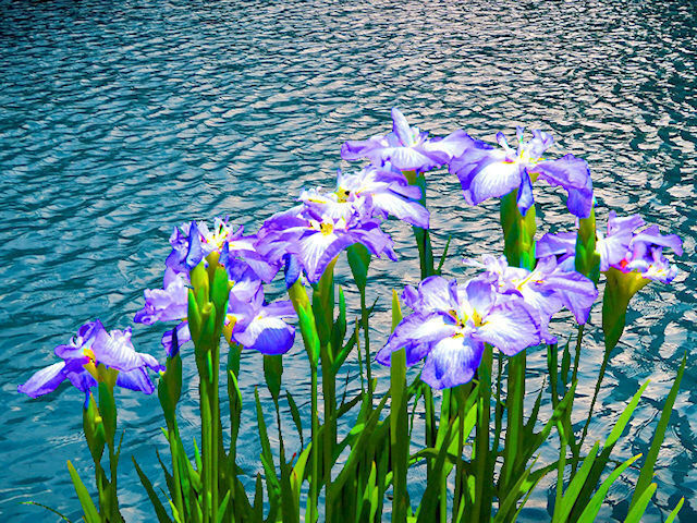 (05月)画像倉庫目次 Z(031): maechan2