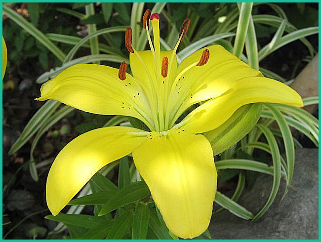 (06月)画像倉庫目次 Z(032): maechan2