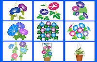 Z(039) 画像倉庫: maechan2