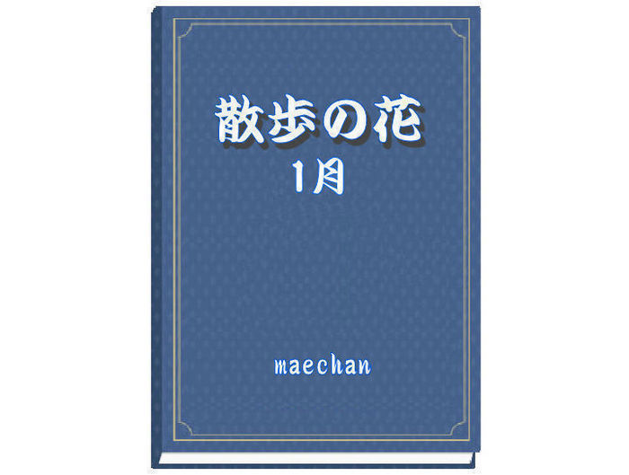 Z(046) 画像倉庫: maechan2