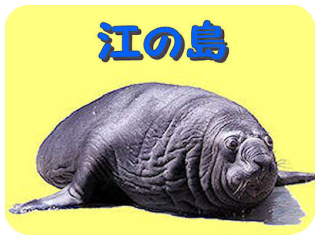 Z(053) 画像倉庫 : maechan2