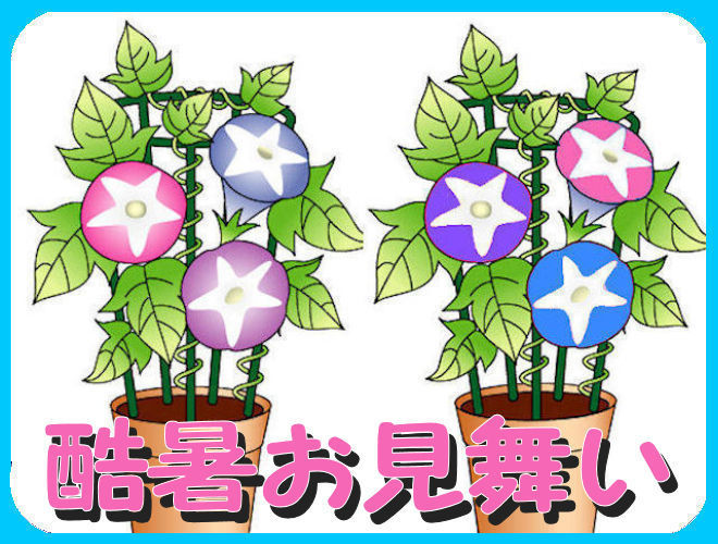 Z(070) 画像倉庫: maechan2