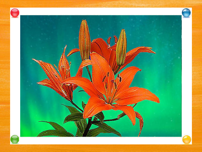 Z(071) 画像倉庫: maechan2