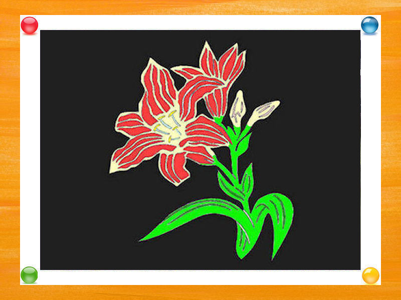 Z(074) 画像倉庫: maechan2