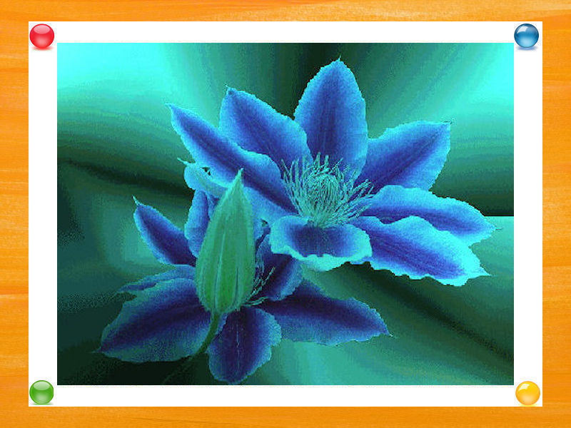 Z(075) 画像倉庫: maechan2