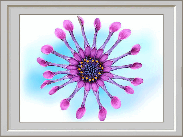 Z(077) 画像倉庫: maechan2