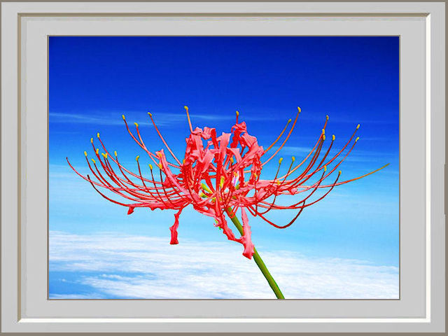 Z(078) 画像倉庫: maechan2