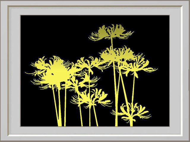 Z(078) 画像倉庫: maechan2