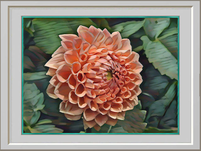 Z(079) 画像倉庫: maechan2