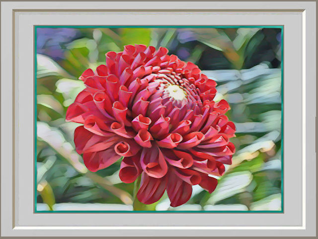 Z(079) 画像倉庫: maechan2