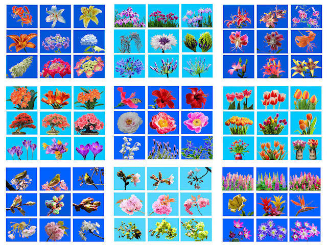 Z(026) 画像倉庫: maechan2